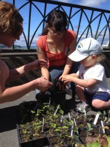 Seattle Tilth offers organic gardening classes at downtown parks this ...