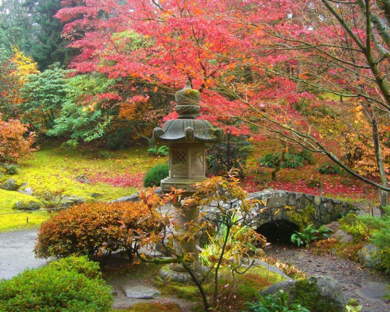 Your Seattle Parks and Recreation Fall Bucket List! - Parkways