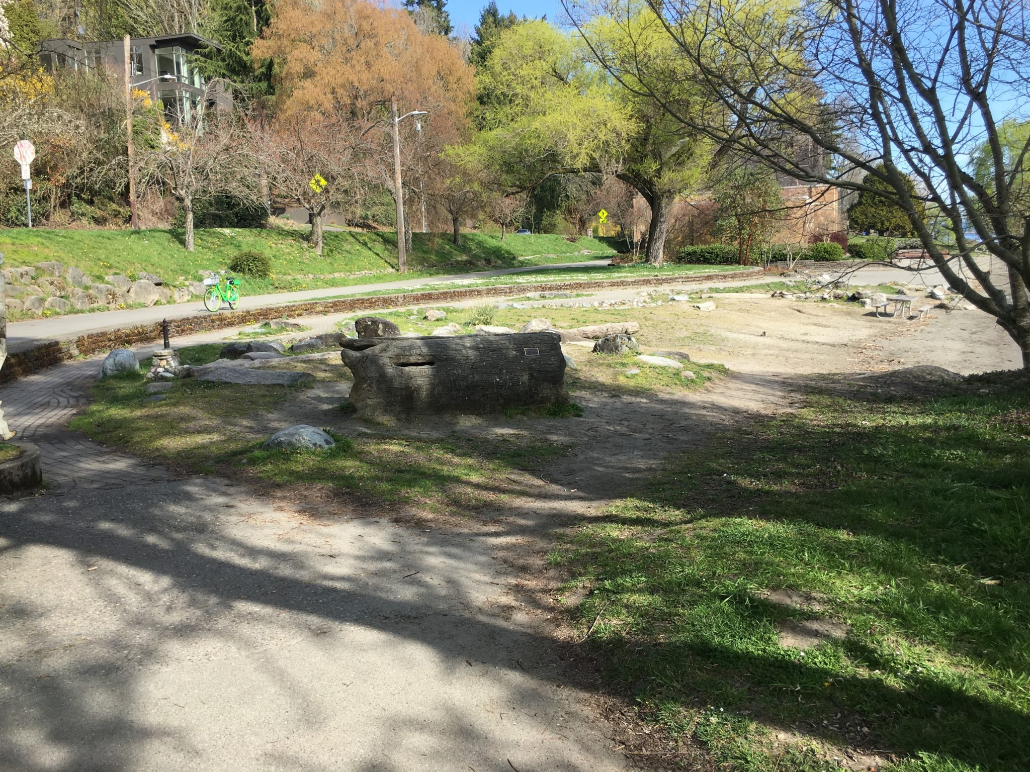 Seattle Parks and Recreation seeks community participation in beach ...