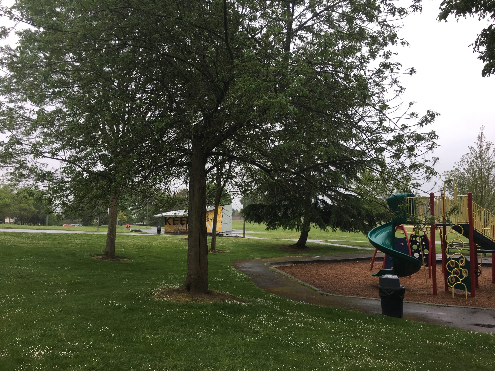 Seattle Parks and Recreation invites community to final meeting for the ...