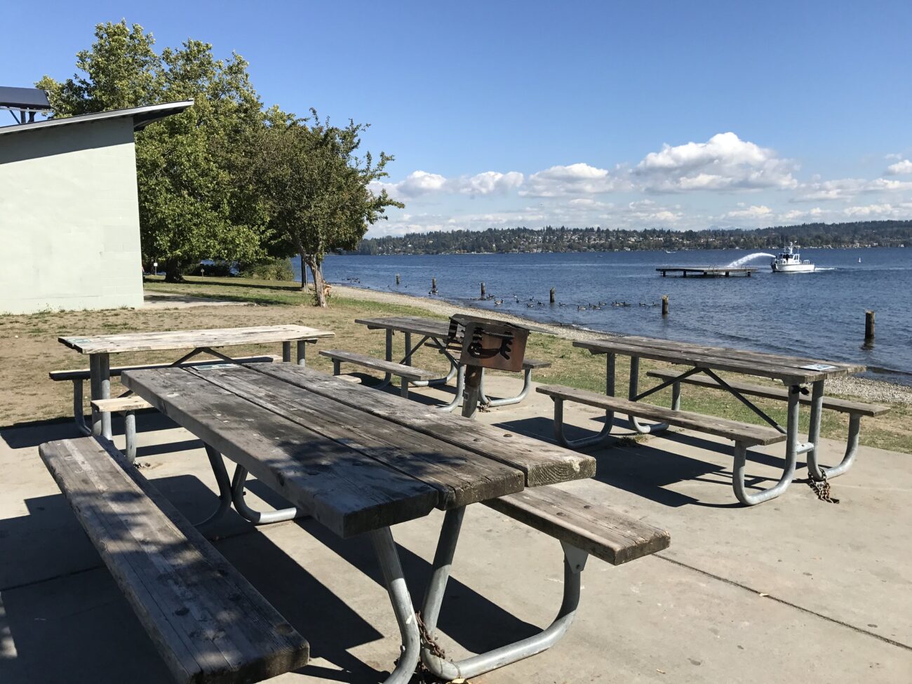 Magnuson Park swimming beach is now lifeguarded and open for the ...