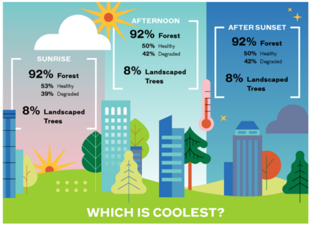 The Cooling Impact of Trees in Cities - Parkways