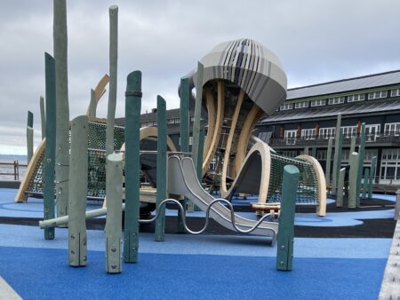 Welcoming a new kind of jellyfish to Seattle’s waterfront! - Parkways